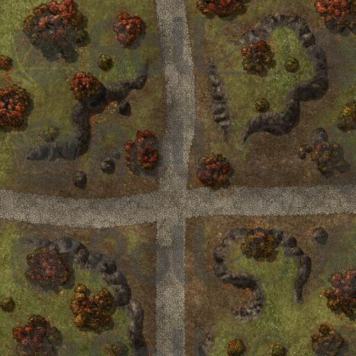 Battle Map - Cross Roads - Tales Tavern