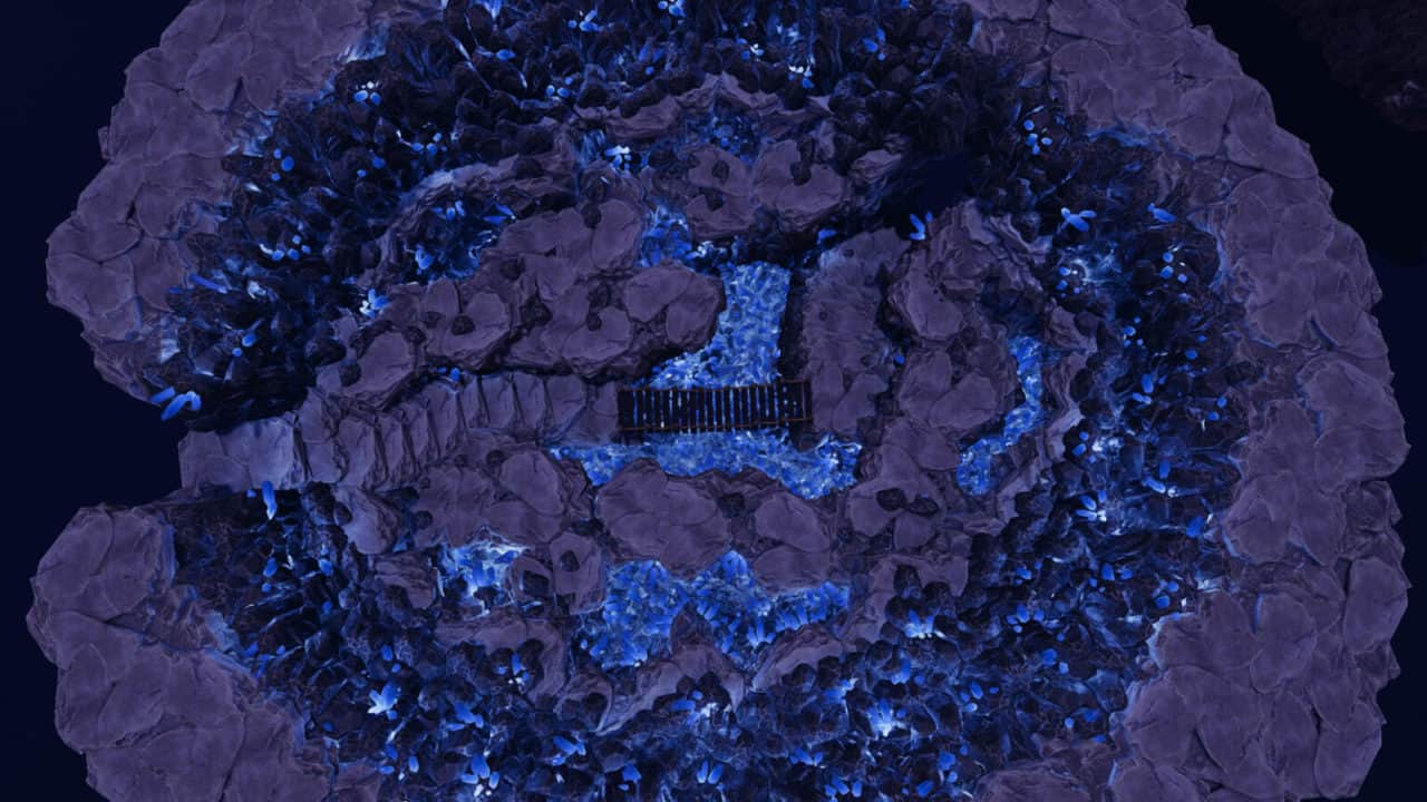 Underdark Terrain Encounters - Tales Tavern