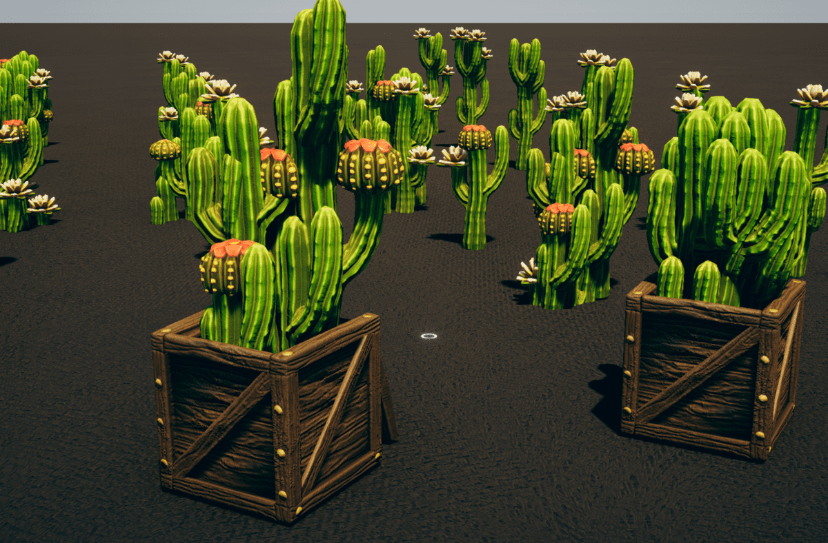 56 Different Cacti Plants - Tales Tavern