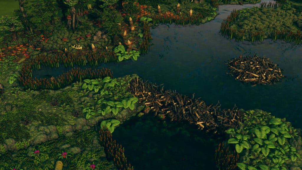 Beaver Dam Encounter Map - Tales Tavern