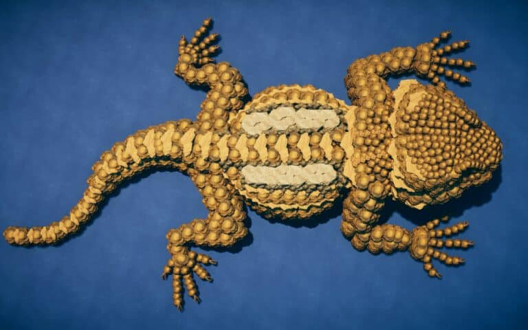 Scorpion Ship - Tales Tavern